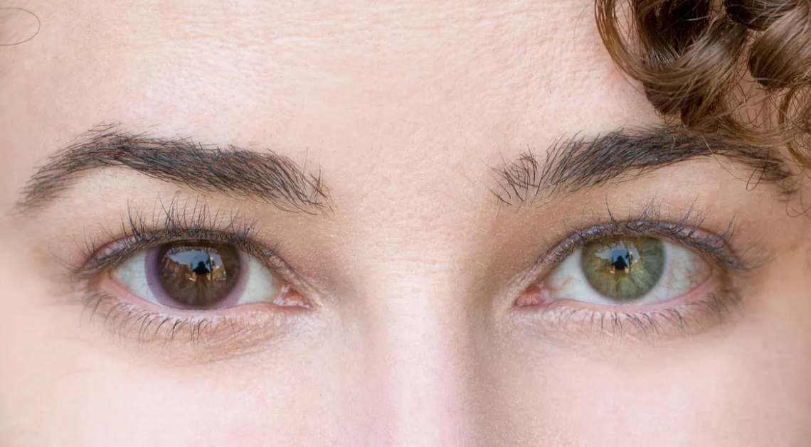 What's The Difference Between Regular and Color Contacts - 2024 Guide ...