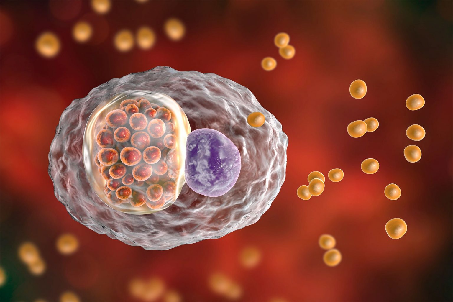 What is Chlamydia STD and Why Should You Care - Bare Foots World