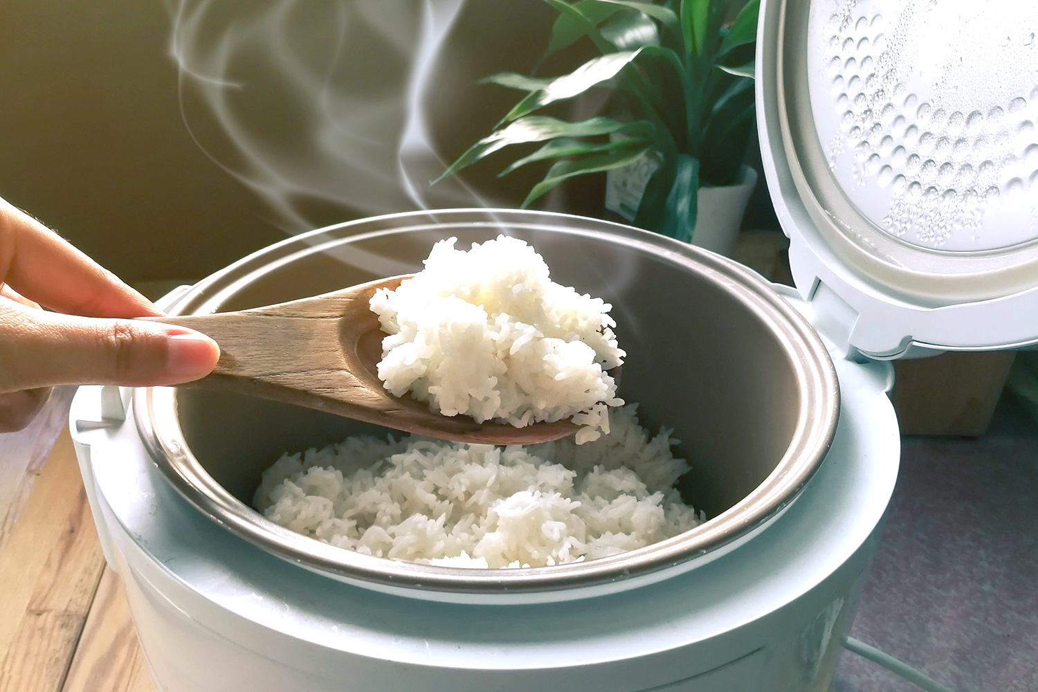 Rice Cookers: An Extensive Guide on Maintenance and Cleaning - Bare ...